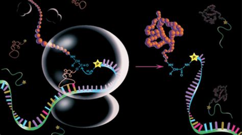 STRUCTURAL BIOINFORMATICS 2 HOUR ONLINE COURSE Tickets By BDG Lifesciences OPC Pvt Ltd