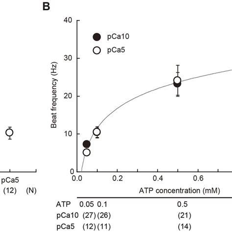 Estimation Of The Concentration Of Atp Released From Caged Atp A Download Scientific Diagram