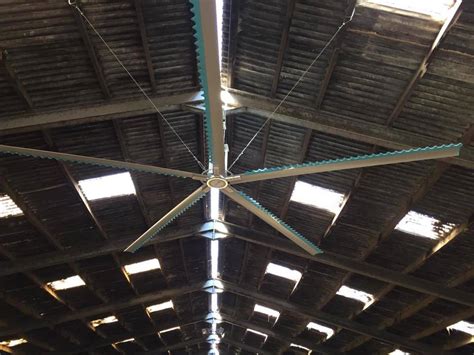 HVLS Fan Cowcare Systems