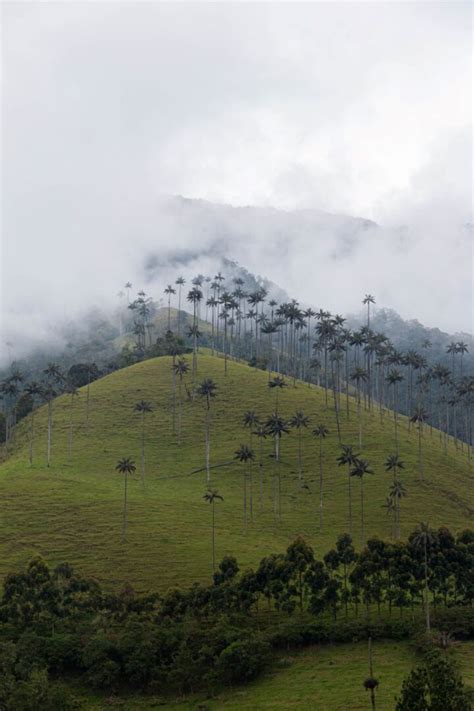 25 Best Things To Do In Cali Colombia The Go Guy