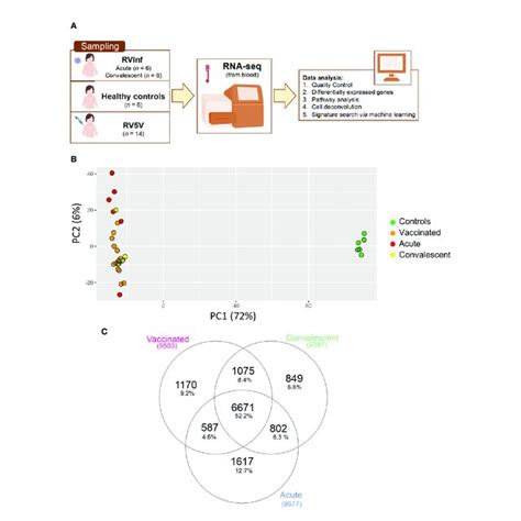 A Scheme Of Sampling And Project Design B Principal Component