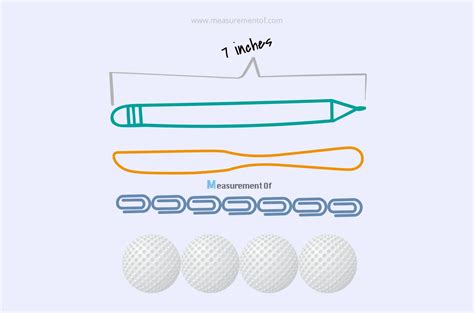 12 Common Things That Weigh 10 Kilograms