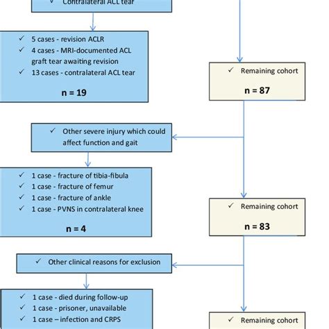 Flowchart Of Study Cohort Acl Anterior Cruciate Ligament Aclr