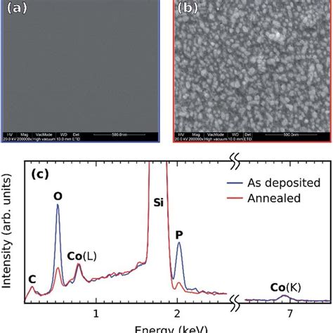 Sem Images Showing The Morphology Of Cobalt Phosphate A As Deposited