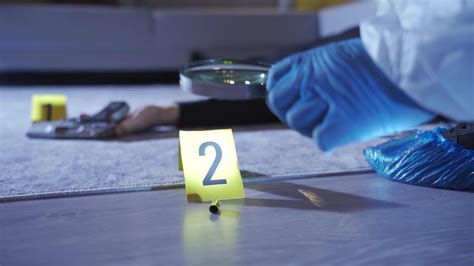 Crime Scene Stock Video Footage For Free Download