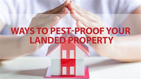 Ways To Pest Proof Your Landed Property