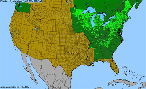 2013 Bonap North American Plant Atlas Taxonmaps
