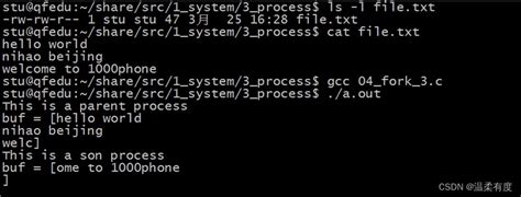 fork函数与vfork函数 fork vfork csdn博客