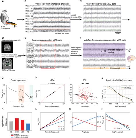 schematic of meg data preprocessing and analyses a d standardized download scientific