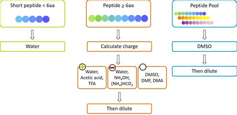 Peptide Solubilization