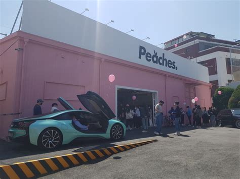 패션 자동차 길거리문화 갖춘 피치스 도원 왜 이제 열었나요 지피코리아