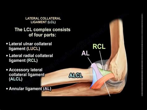 Ulnar Collateral Ligament Elbow Reconstruction Ulnar Collateral