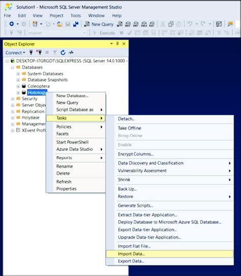 Importing Data Using The Tasks Option Download Scientific Diagram
