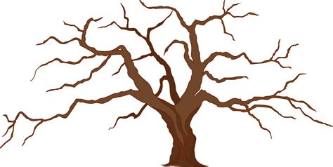 Tree Without Leaves Royalty Free Vector Image VectorStock
