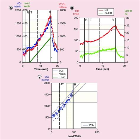 Oxygen And Carbon Dioxide Uptake Curves Case 2 A Steady Increase