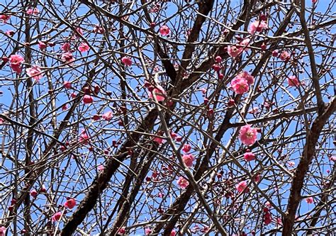 しおじの湯 4月の営業時間のご案内 浜平温泉 しおじの湯