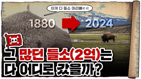 네이버 인플루언서