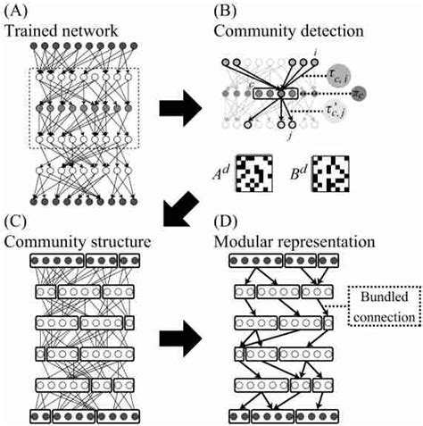 Modular Representation Of Layered Neural Networks Deepai