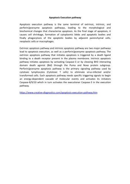 Apoptosis Execution Pathway