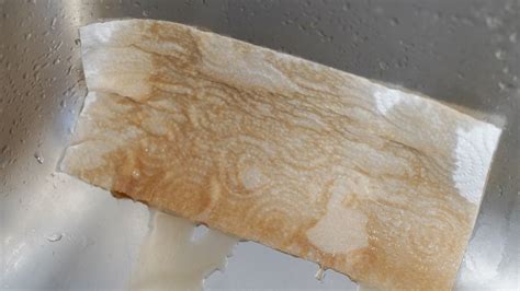 김빠진 콜라 버리지 말고 주방과 화장실에 두세요 모두가 놀랍니다