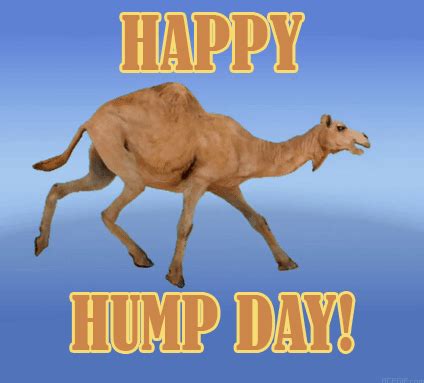 Happy Hump Day S 100 Animated Greeting Cards For Free