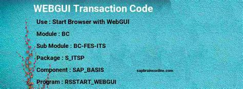 Webgui Sap Tcode For Start Browser With Webgui
