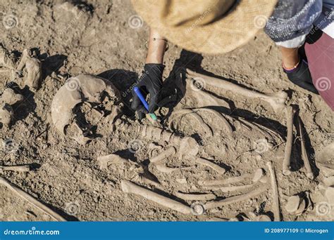 Archaeological Excavations Of An Ancient Human Skeleton Stock Image