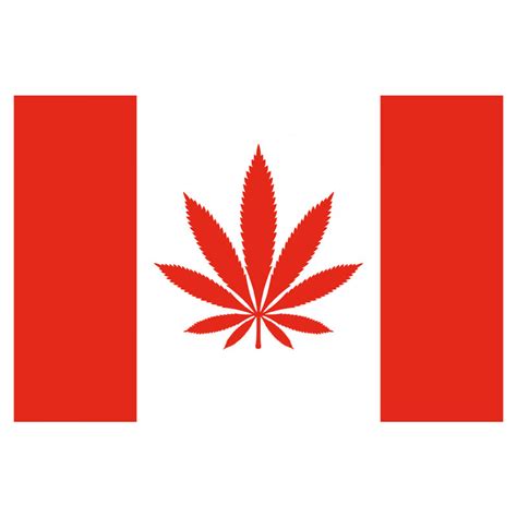 Canadian Mapleweed Leaf Dab Mat Canadian Bongs
