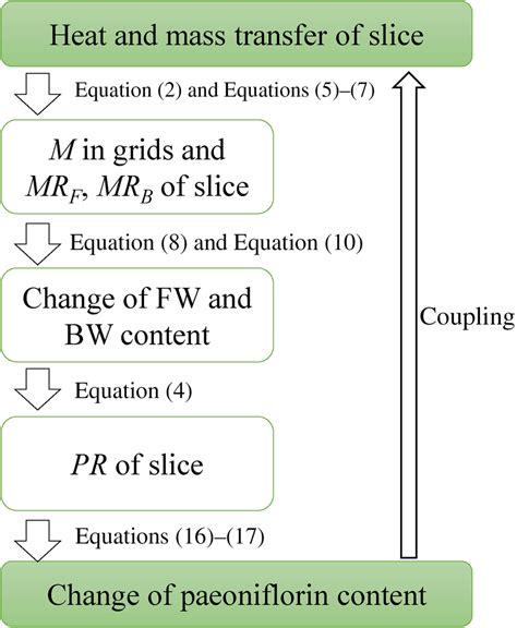 Systematic Diagram Of Modeling Heat And Mass Transfer Coupled With Download Scientific Diagram