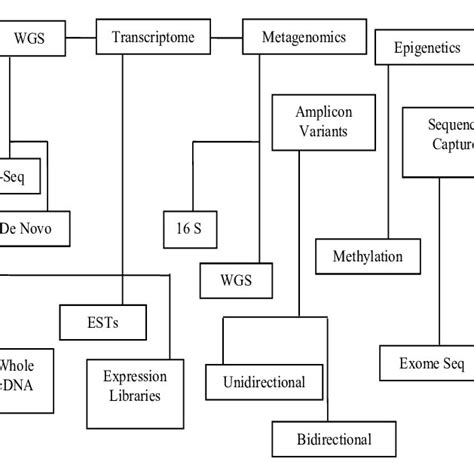 Schematic Diagram Of Different Ngs Applications And Sequencing Methods Download Scientific Schematic Diagram Of Different Ngs Applications And Sequencing Methods Download Scientific