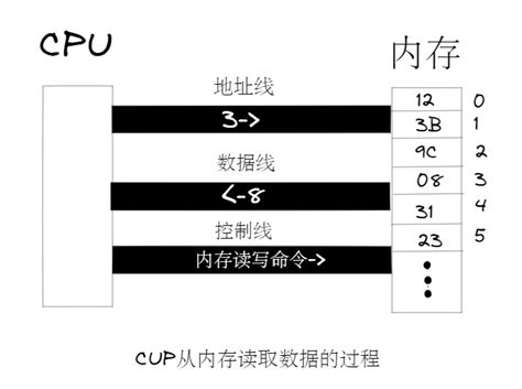 Cpu对存储器的读写cpu从内存读取数据的全过程 Csdn博客