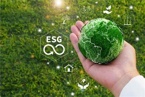 Wtw Unveils Climate Engagement Tool Insurance Business Canada