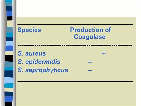 Lecture 1 Staphylococcus Aureus Ppt