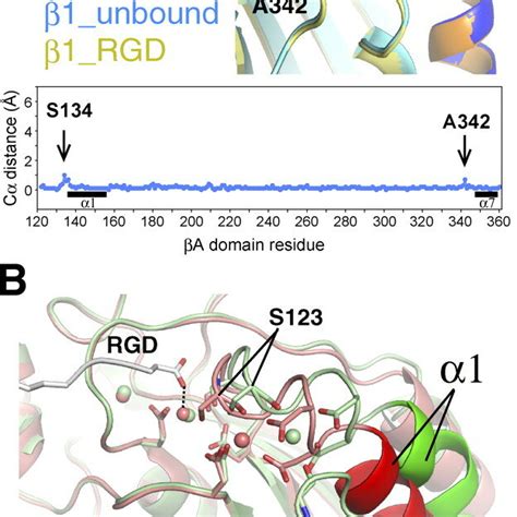 Structure Of The α5β1 Integrin Headpiece In Complex With Sg 19 Fab A Download Scientific