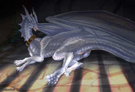 Rule 34 2022 Ass Bodily Fluids Claws Collar Cuntboy Dragon Dungeon