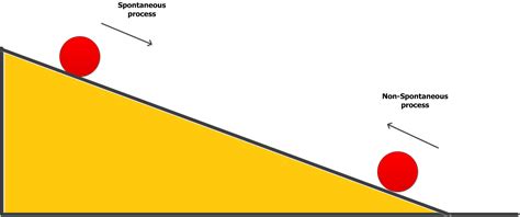 Entropy Free Energy And Thermodynamic Equilibrium Chemistry Net Free Energy Entropy