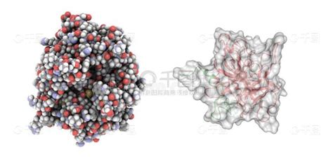 Iia高清图片 分子结构模型 分子结构模型图片免费下载 5145150835 千图网pro