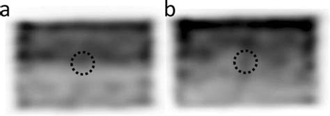 Reconstructed Non Uniform Background Images Generated Using Non Uniform