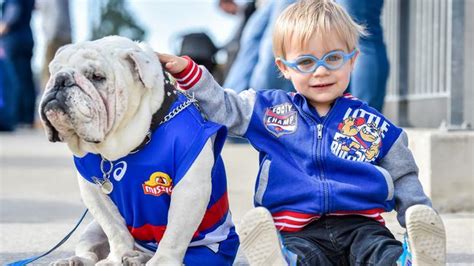 Sid The Bulldog Retires Western Bulldogs Mascot Herald Sun