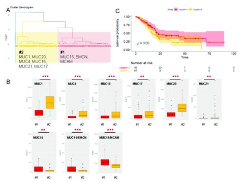 Unsupervised Hierarchical Clustering Analysis Of PDAC Patients