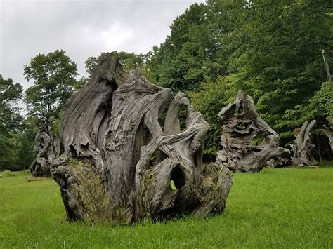 Скульптуры от природы. | Пикабу