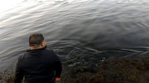 Cape Cod Canal Striper Blitz Youtube