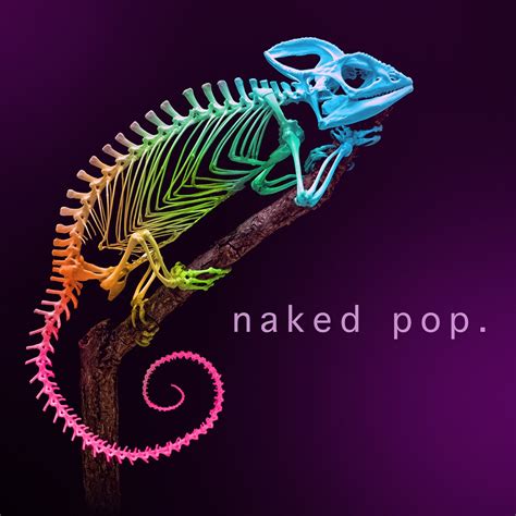 Naked Pop 群星的专辑 Apple Music