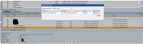 Single Sign On SSO Between SAP EP Portal And SAP ABAP System BuddySAP