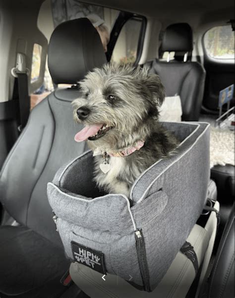 Grey Pet Console Booster Seat 4paws Pet Accessories
