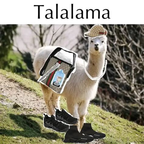 Talahon Talahon Know Your Meme
