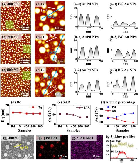 Hybrid Core Shell Hycos Aupd Nps By 3 Nm Au Coating And Annealing At