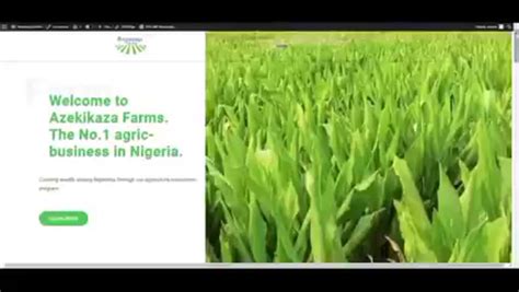 Stephen Oluwafemi Herbert Icrm On Linkedin Websitedesign Business