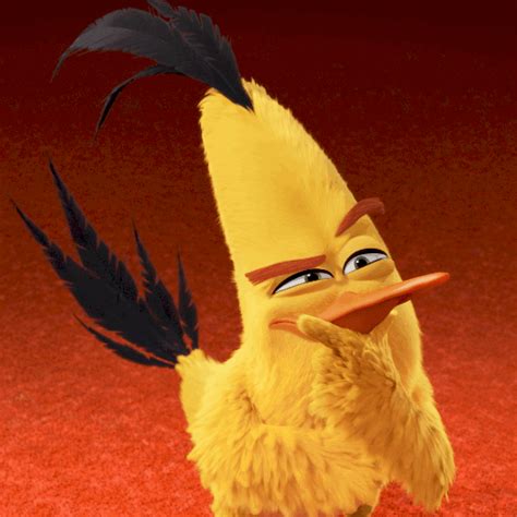 Lots Of Emotion But Mostly Anger On The Official Angry Birds Giphy