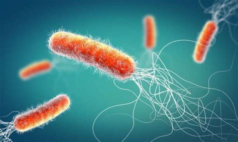 Encouraging Results For Resp X In Ongoing Phase I Clinical Trial Drug